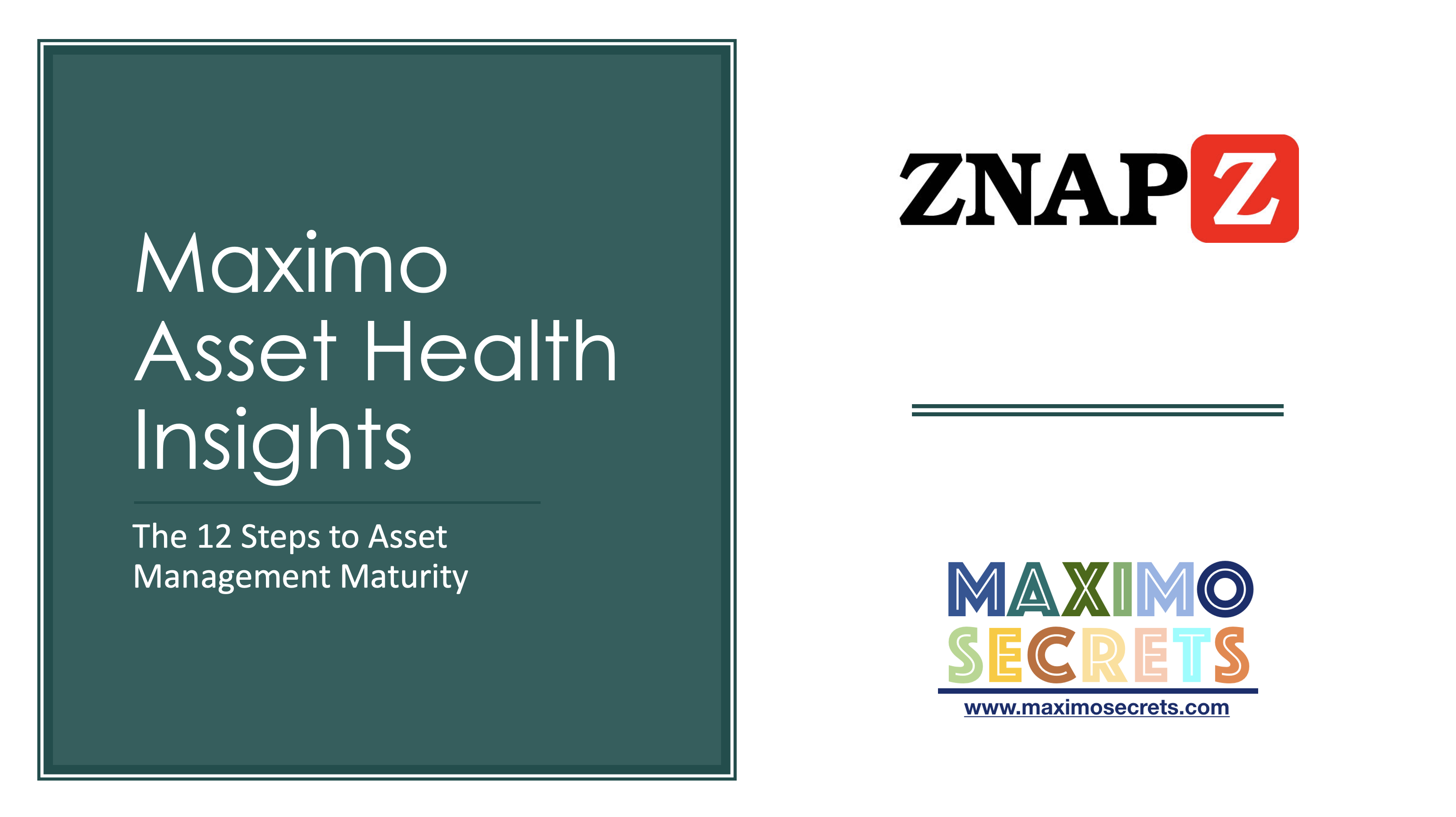 The 12 Steps to Asset Management Maturity – Maximo Secrets